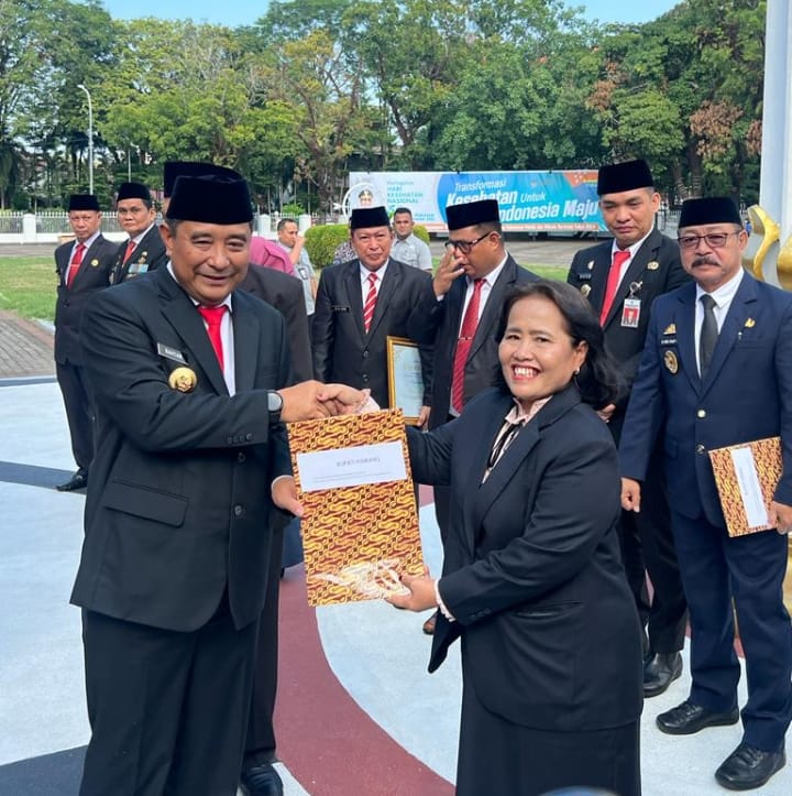 9 Penghargaan Diraih Pemkab Pinrang Di HKN Tingkat Provinsi Sulsel ...